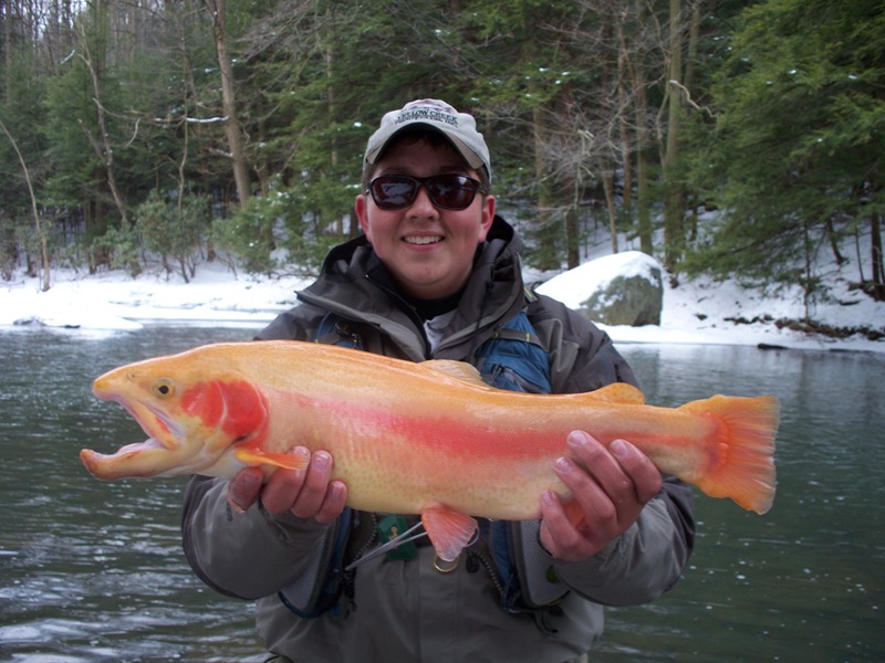 Yellow Creek Trout Club, Inc.