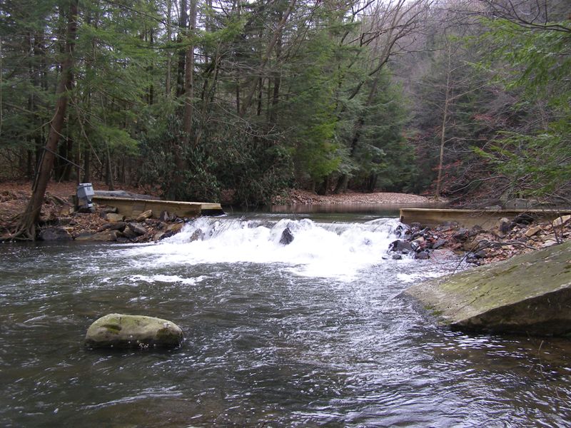 Yellow Creek Trout Club, Inc.